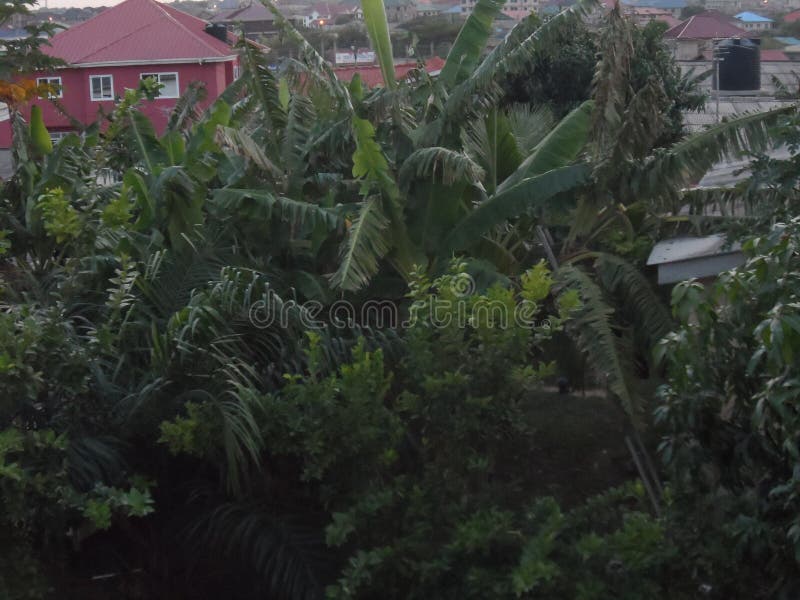 Teshi Stock Photos - Free & Royalty-Free Stock Photos from Dreamstime