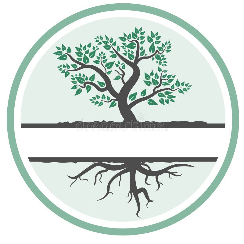 Foliage Tree with Roots Symbol or Icon Stock Vector - Illustration of ...