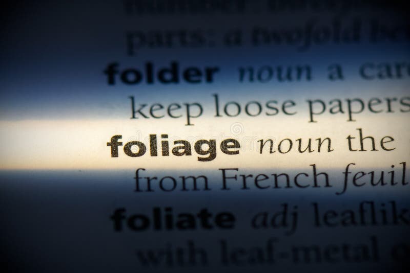 Foliage stock photo. Image of macro, minimal, learn - 161577640