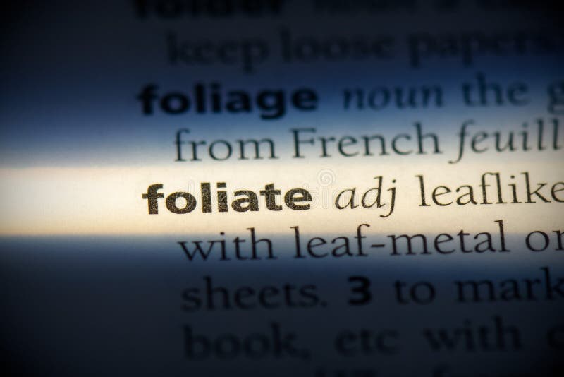 Foliate stock image. Image of paper, detail, isolated - 161577621