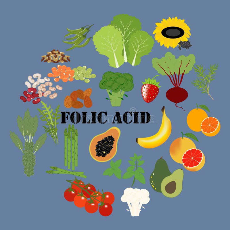 Folic Acid Stock Illustrations – 628 Folic Acid Stock Illustrations ...