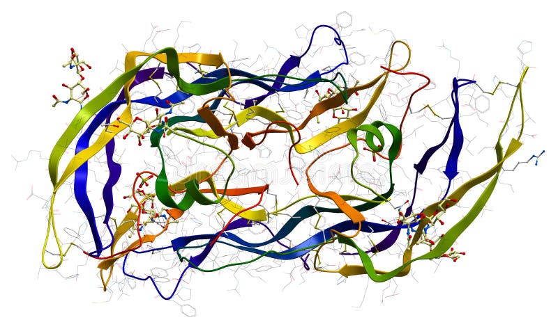 Follicle-stimulating Hormone Stock Illustration - Illustration of ...