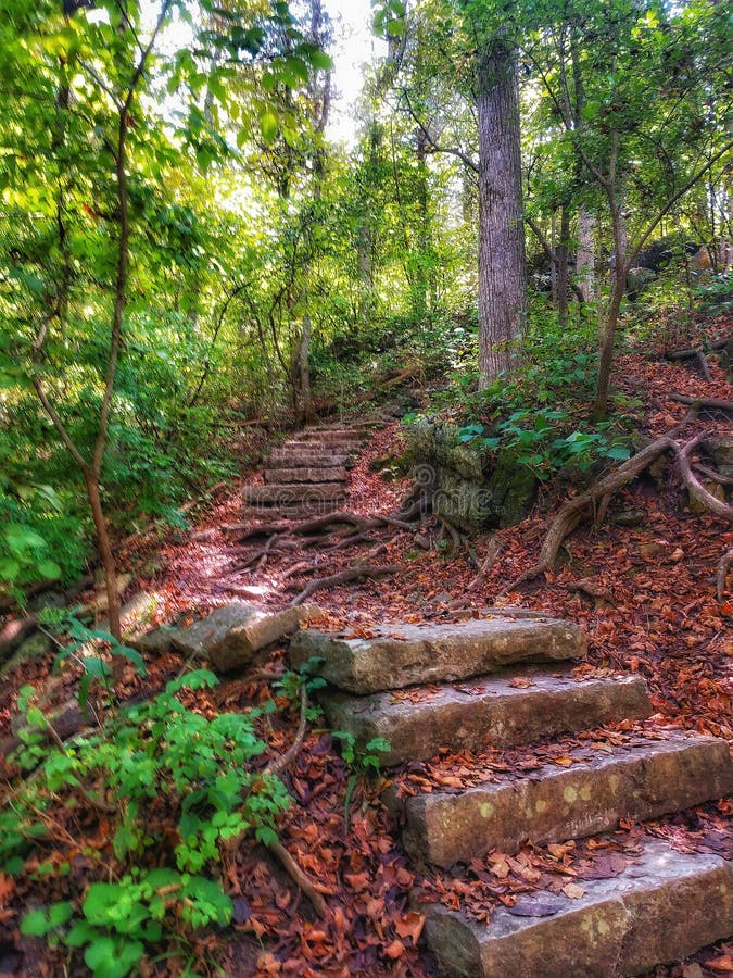 Follow me stock photo. Image of hiking, trail, stairs - 127560904