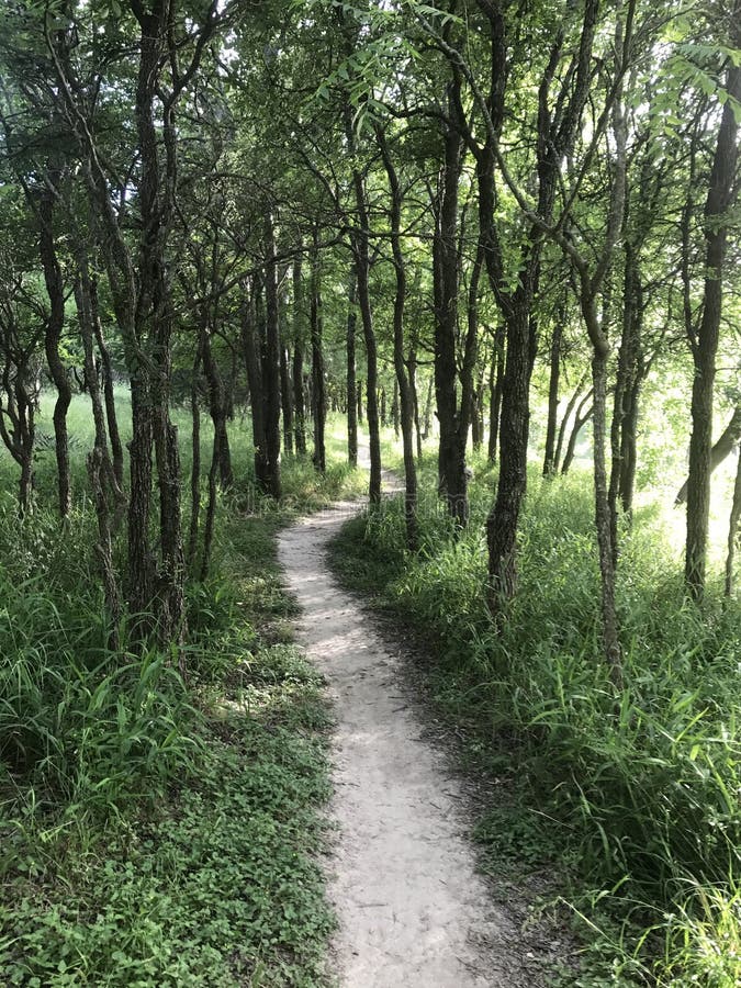 Follow the path stock photo. Image of follow, wander - 93040170