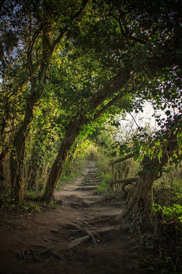 Follow the path stock image. Image of staircase, path - 70803611