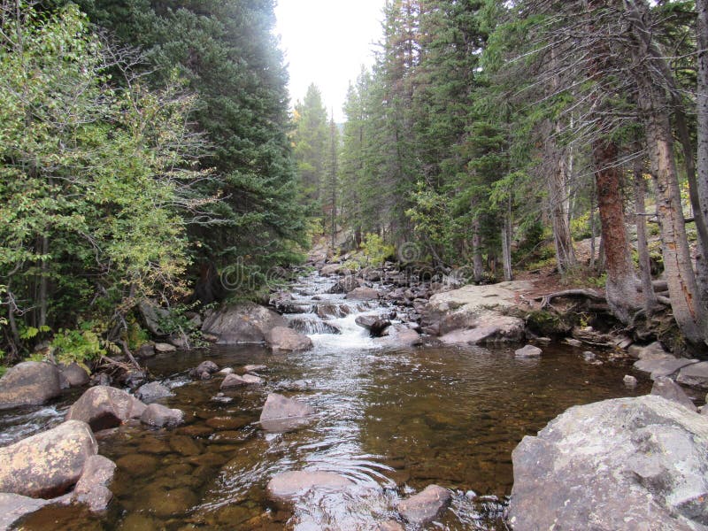 Follow the stream stock photo. Image of stream, water - 108925022