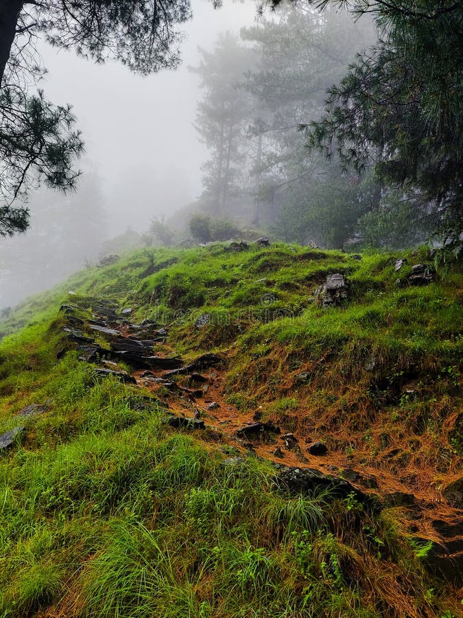 Follow the water stock image. Image of stream, waterfall - 231443799
