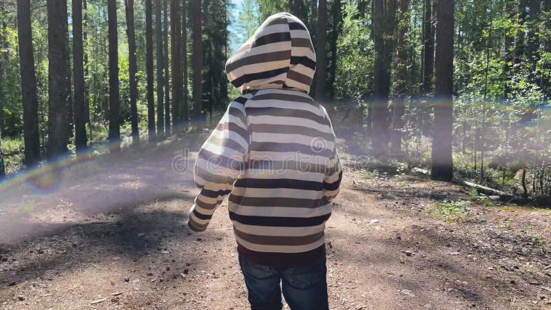 Following Happy Little Boy Running through Summer Forest. Back View ...