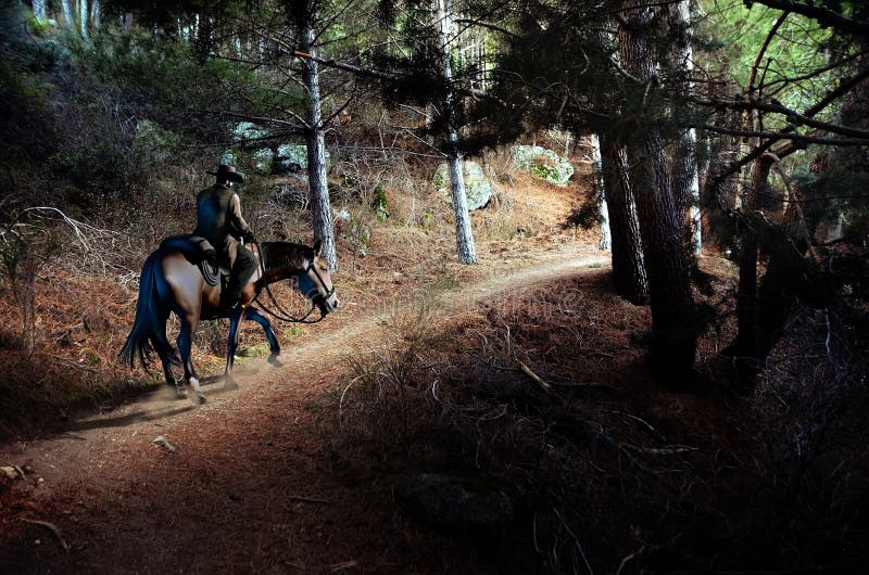 Following the path stock illustration. Illustration of companion - 64634341