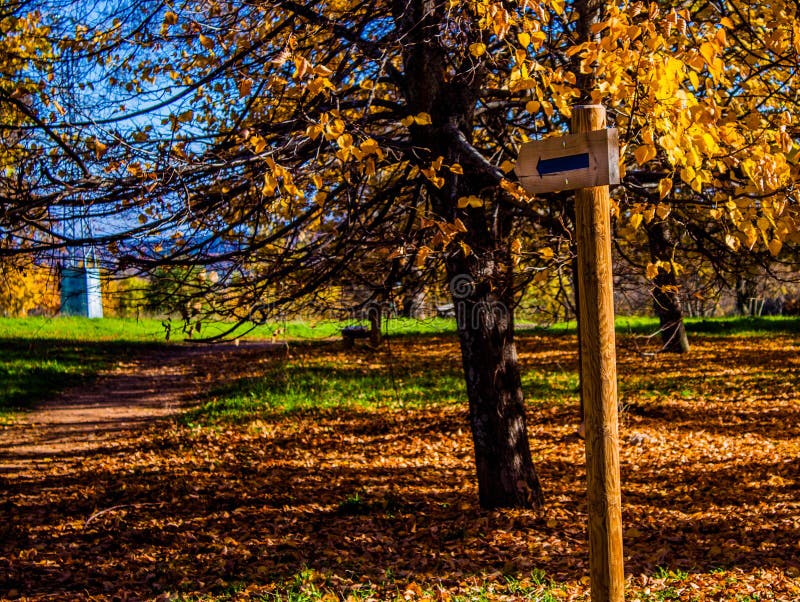 Following the path stock photo. Image of indicate, rule - 89414130