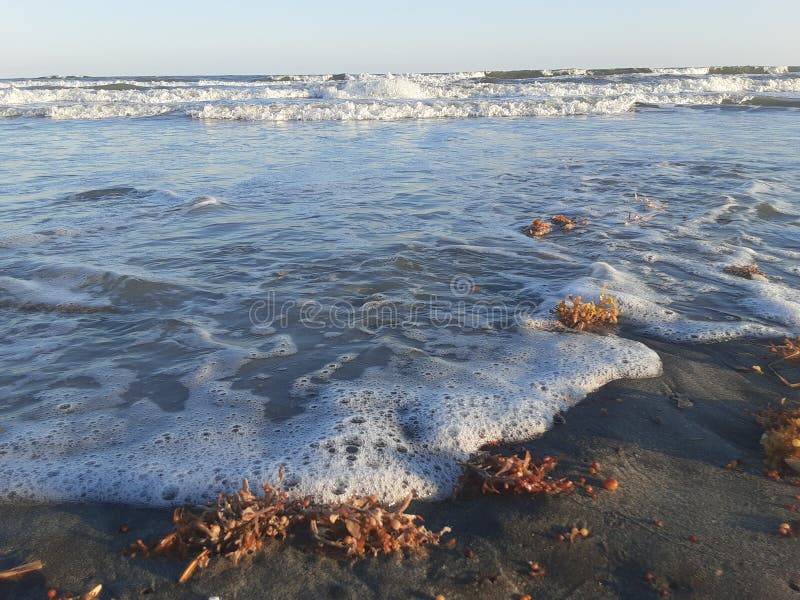 Folly beach Charleston stock image. Image of waves, folly - 160571417