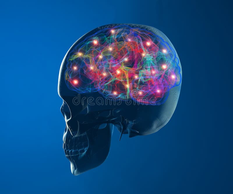 Fonctions De Synapse De Neurones De Cerveau Illustration Stock ...