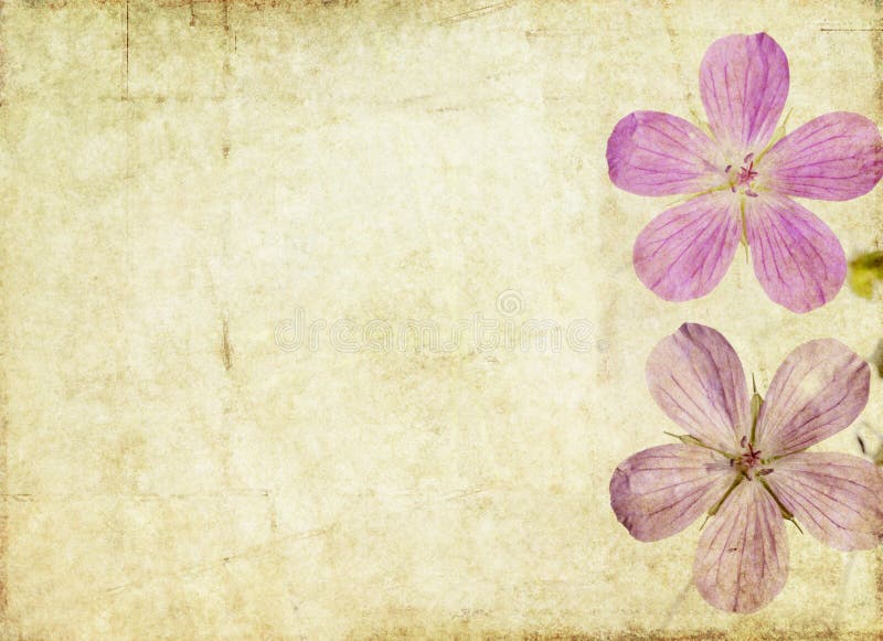 Fond D'image Avec La Texture Terreuse Image. Image: 9242497