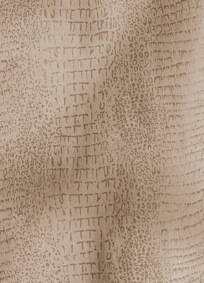 Fond D'image Montrant Grey Animal Print Subtil Photo stock - Image du ...