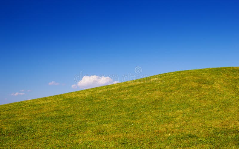 Colline Verte De Champ D'herbe Sur Le Fond Blanc Photo stock - Image du ...