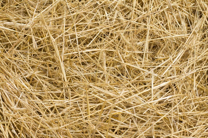Fond de foin photo stock. Image du centrale, brun, horizontal - 15696878