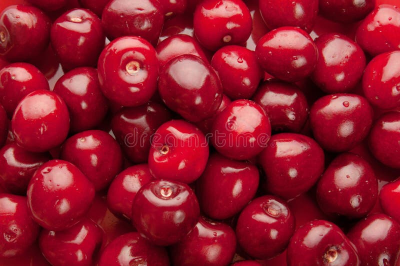 Fond de merise photo stock. Image of saisonnier, accroissement - 26499006