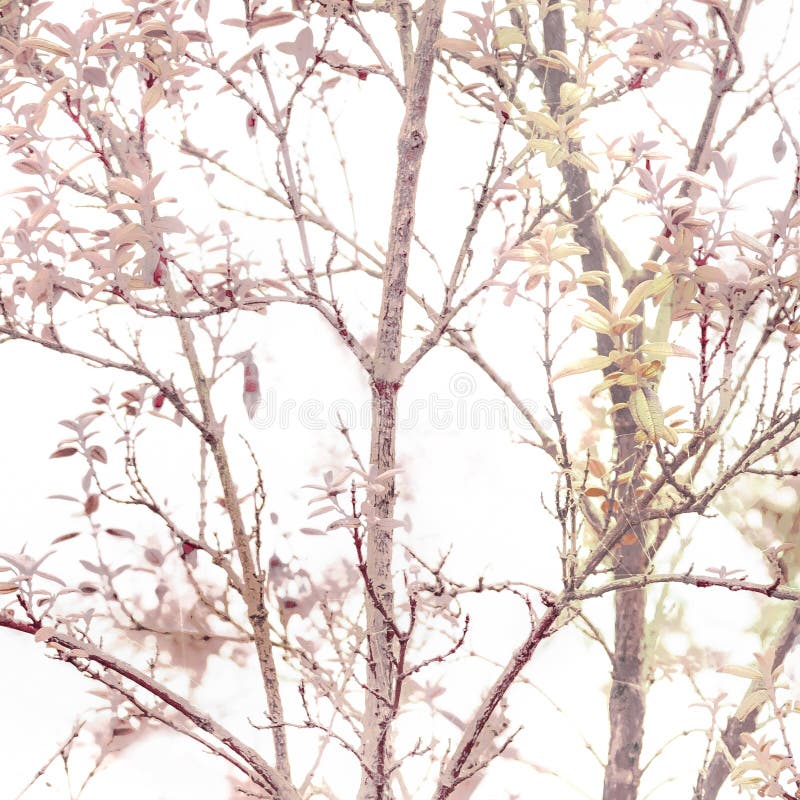 Fond de nature de texture photo stock. Image du texturisé - 85351436