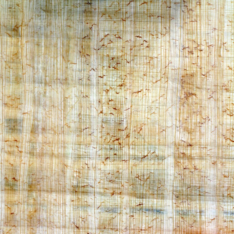 Fond de papyrus image stock. Image du herbe, commandements - 1358315