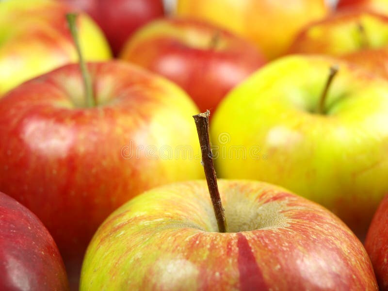 Fond de pommes image stock. Image du rouge, écosystème - 10518189