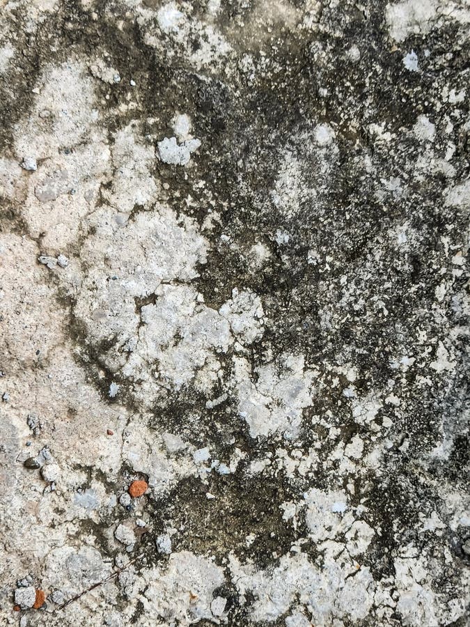 Fond de sol en mousse image stock. Image du étage, surface - 249566413