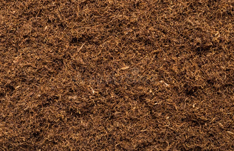Texture sèche de tabac image stock. Image du lames, espace - 24395141