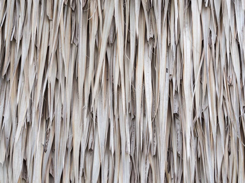 Fond De Texture De Toit Couvert De Chaume Photo stock - Image du paume ...