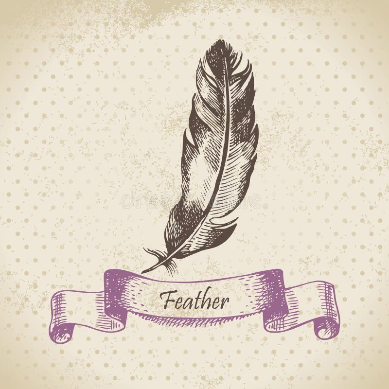 Fond De Vintage Avec La Plume Illustration de Vecteur - Illustration du ...