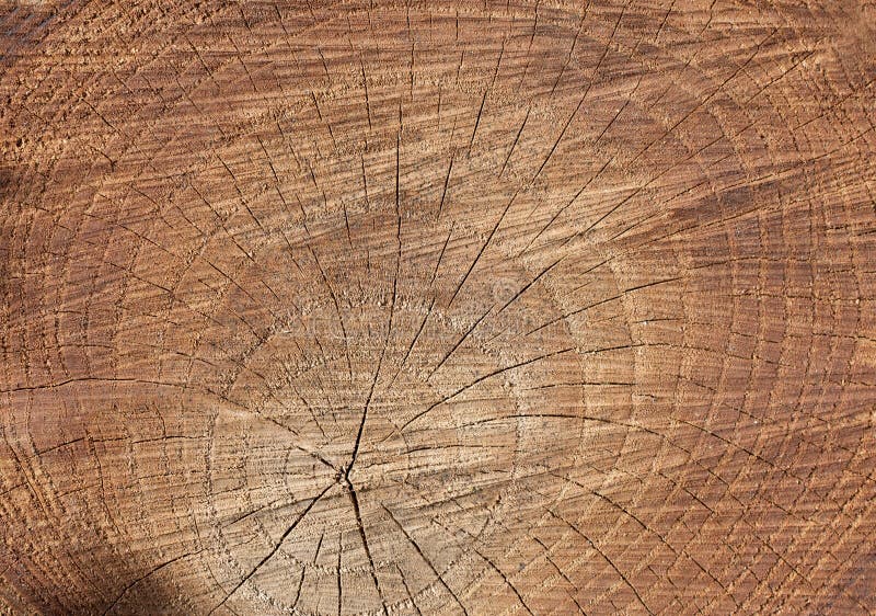 Fond ou texture en bois image stock. Image du rugueux - 143850269