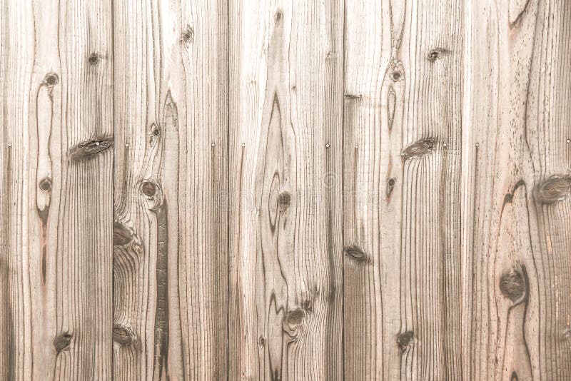 Texture En Bois Beige Pour Le Fond Photo stock - Image du beige, crème ...
