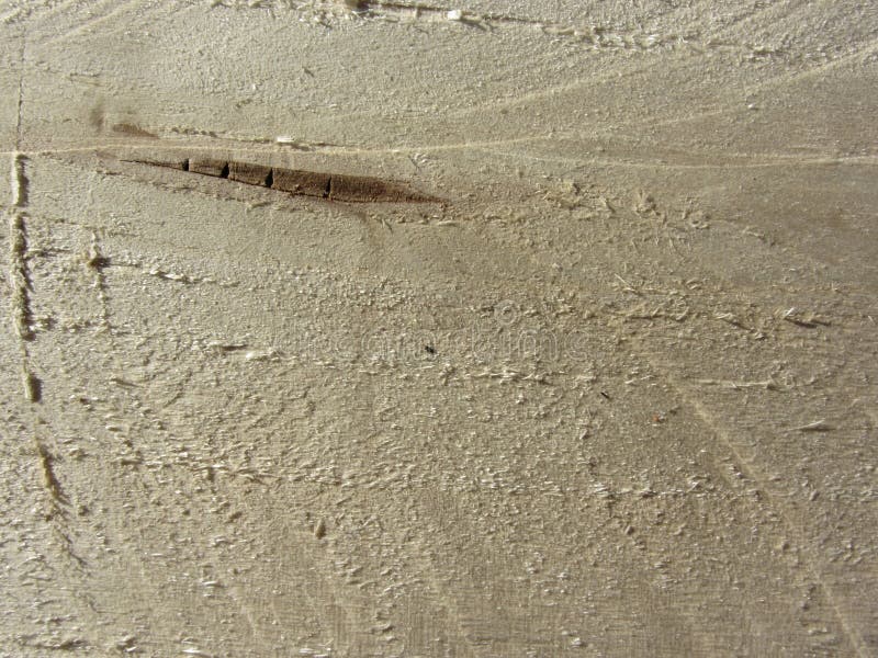 Texture Normale En Bois De Sapin Photo stock - Image du blanc ...