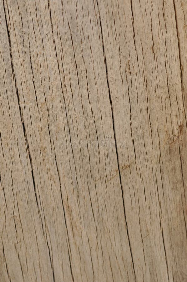 86,097 Photos de Grenu - Photos de stock gratuites et libres de droits ...