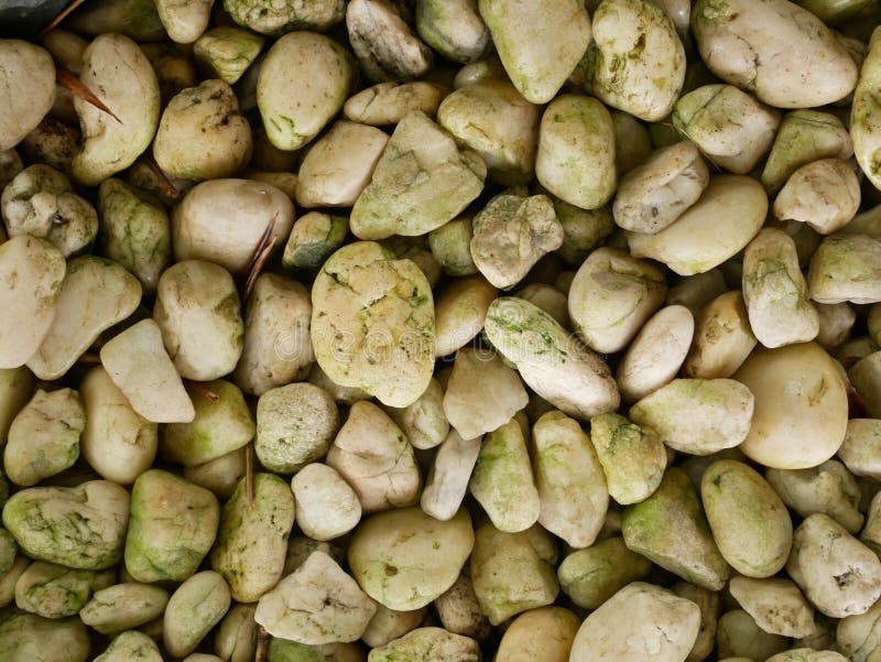 Fond En Pierre De Nature De Pebble Beach, Mod?le De Pierre De Caillou ...