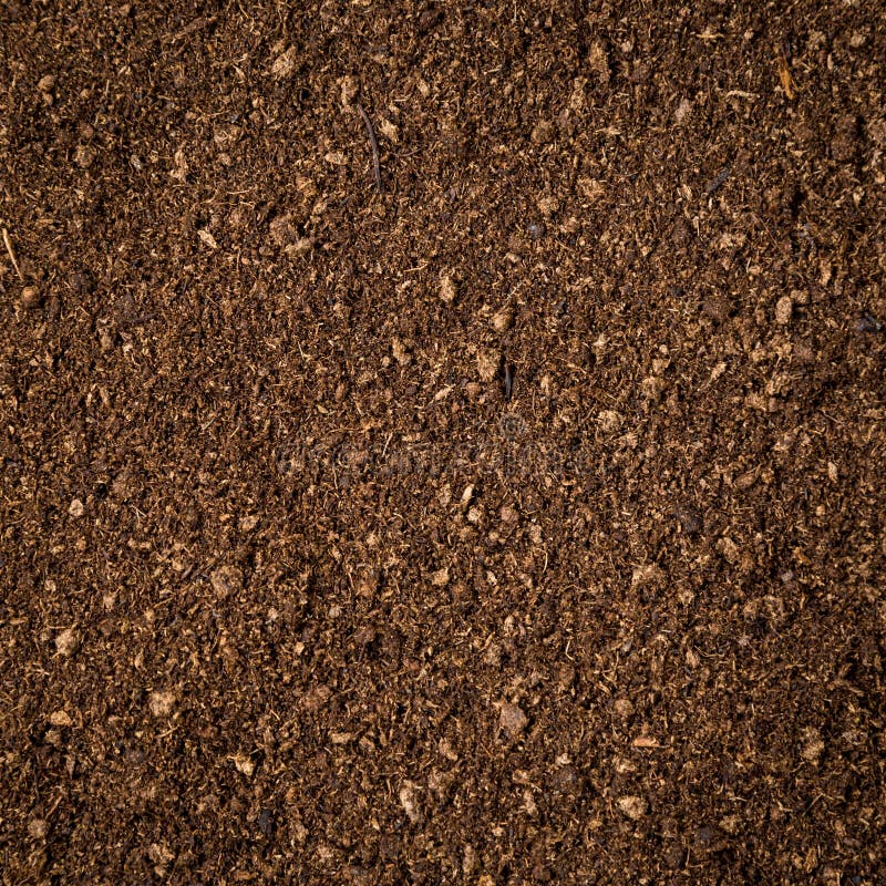 Femme De Sol De Mousse De Tourbe En Main Photo stock - Image du engrais ...