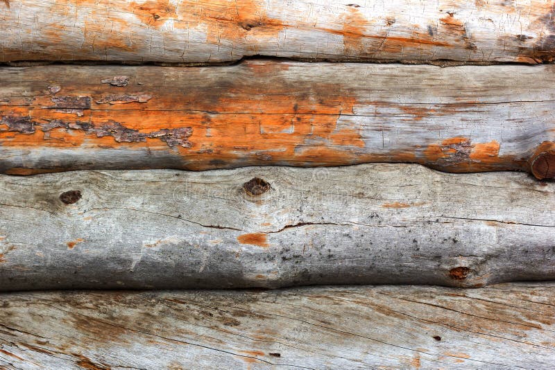 Fond Lisse Bois Clair. Texture Du Bois Image stock - Image du rural ...