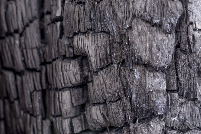 Fond Noir De Charbon Texture De Charbon De Bois Image stock - Image du ...