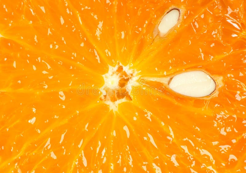 Tranche d'orange photo stock. Image du santé, fruits - 30802108