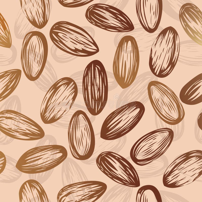Fond Sans Couture De Vecteur D'amandes Illustration de Vecteur ...