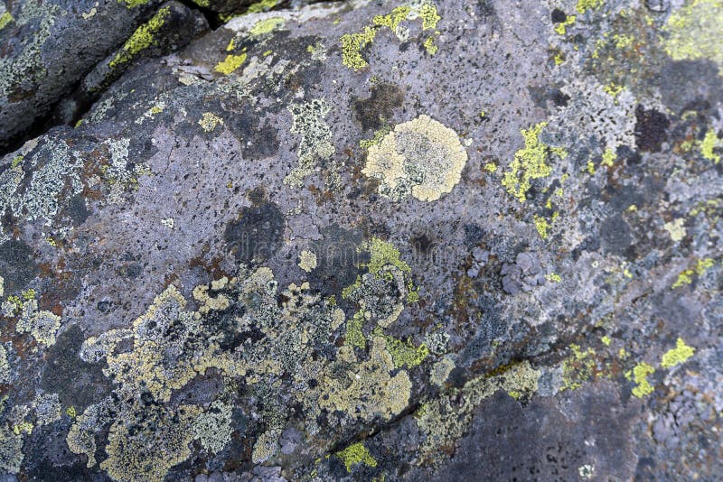 Fond, Texture : Surface D'un Rocher De Granit Avec Des Taches Des ...