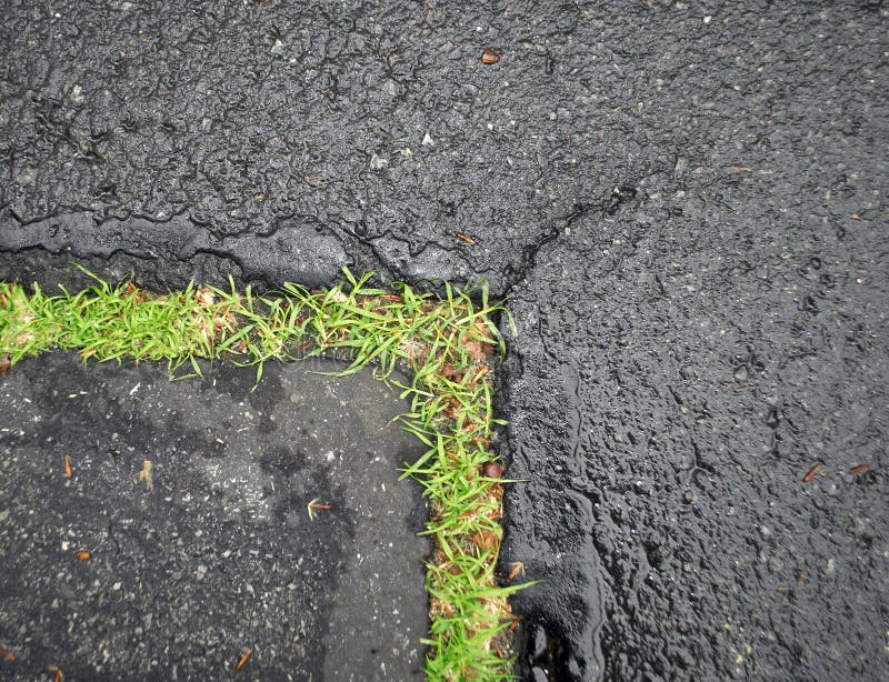 48,659 Photos de Crasse - Photos de stock gratuites et libres de droits ...