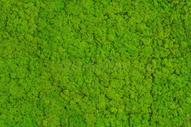 Fond de sol en mousse image stock. Image du étage, surface - 249566413