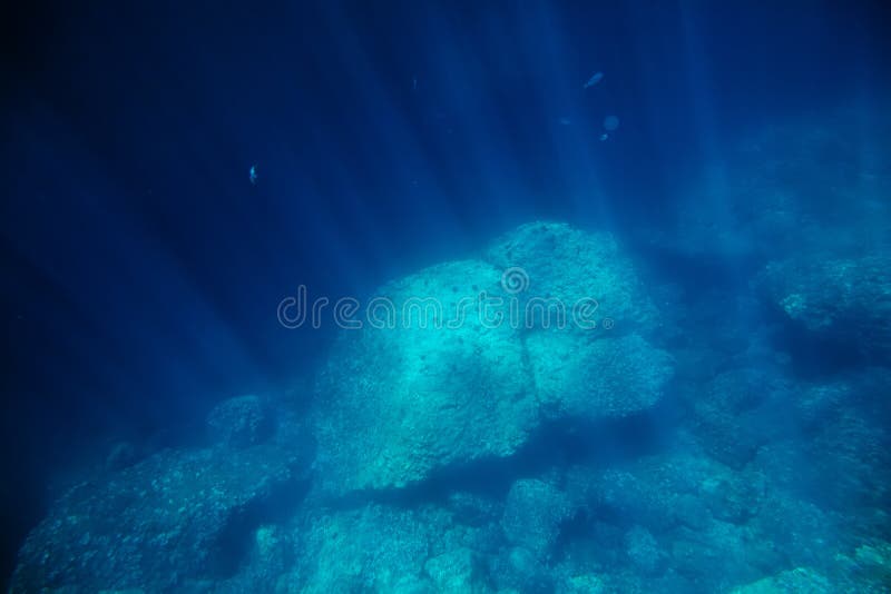 Fondale Marino Subacqueo Con Luce Solare Fotografia Stock - Immagine di ...