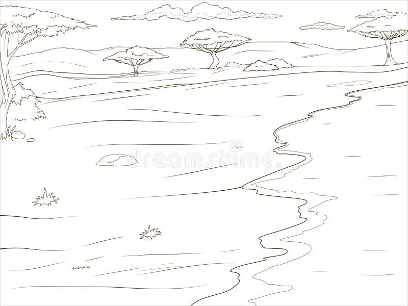 Savanna Acacia Sabana Savana Africana Arboles Savanne Paisagem ...