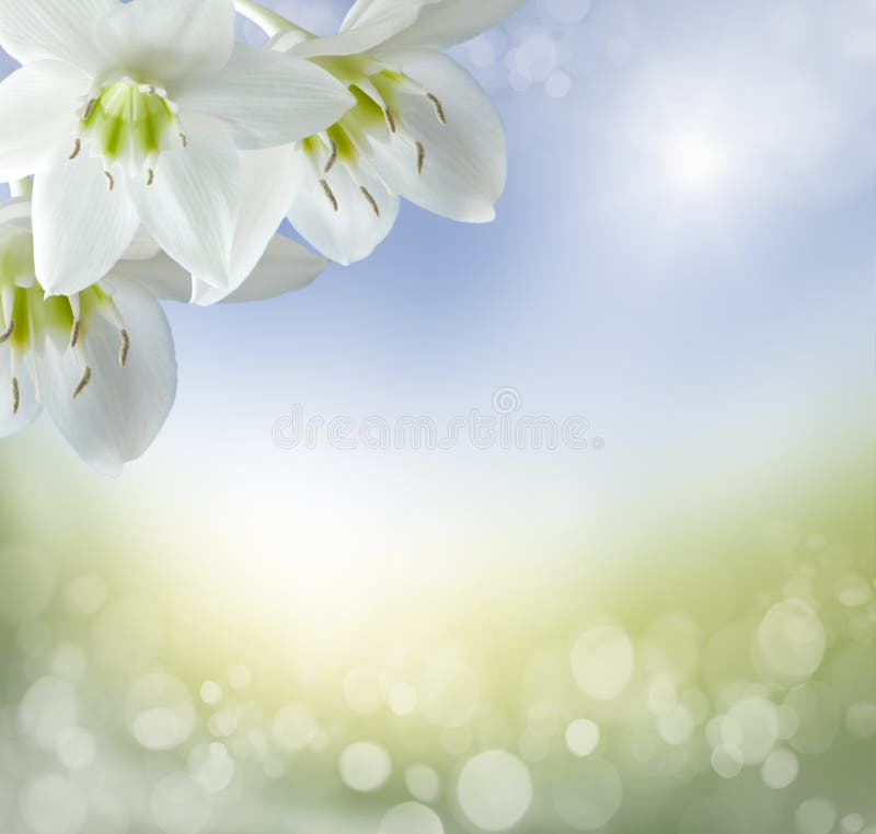 Fondo della molla fotografia stock. Immagine di fronte - 30124884