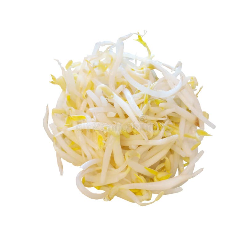 Fondo Blanco Amarillo Brote De Frijol Foto de archivo - Imagen de soda ...