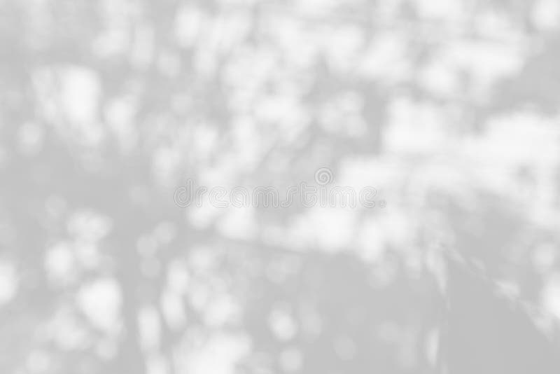Fondo Blanco Borroso Con Brillo Para Mostrar Fondo Blanco Bokek Imagen ...