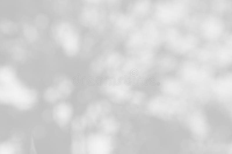 Fondo Blanco Borroso Con Brillo Para Mostrar Fondo Blanco Bokek Foto de ...