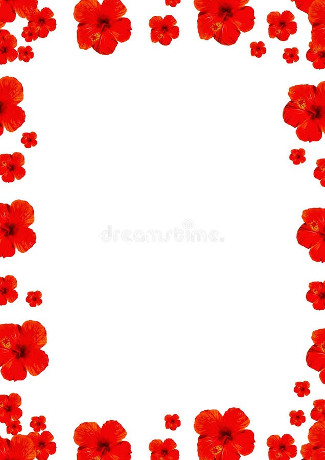 Fondo Blanco Con Bordes De Flores Rojas Stock de ilustración ...