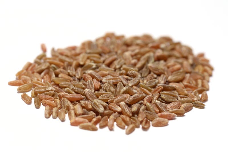 Fondo Blanco De Grano Escrito Imagen de archivo - Imagen de cereal ...