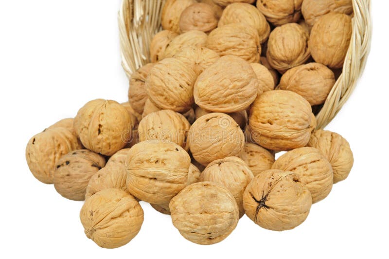 Fondo blanco de la nuez imagen de archivo. Imagen de bocado - 243567387
